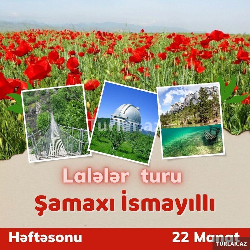 İsmayilli Şamaxı Laleler Turuna tələsin Daxili turlar